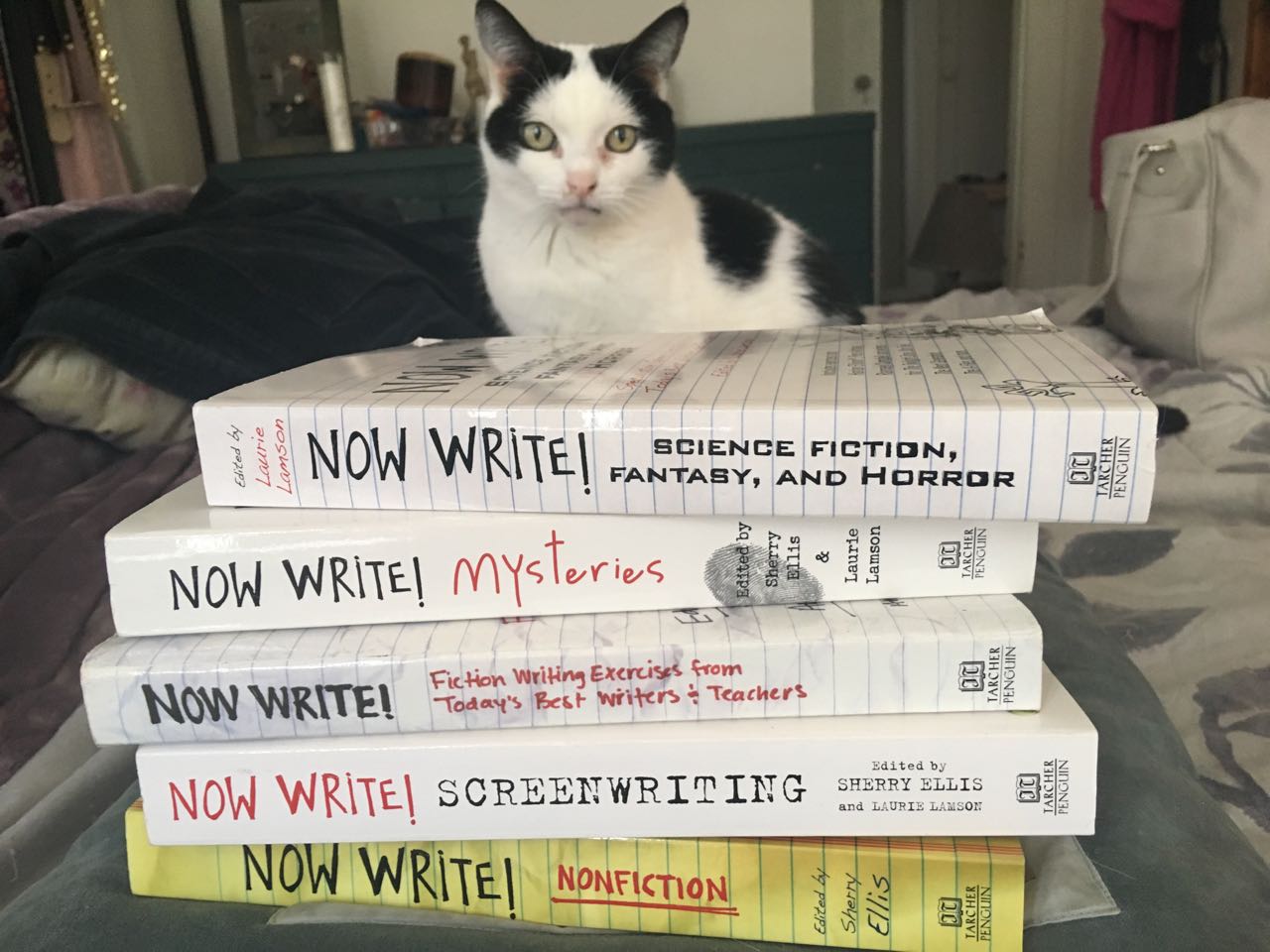 BOOKS – Now Write!